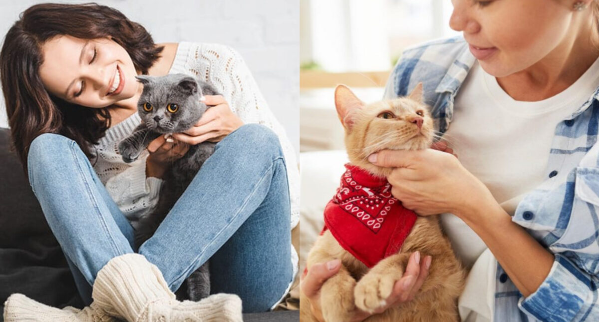 Τι είναι το cat sitting; Αφήστε το γατάκι σας σε ασφαλή χέρια - Ένας ...