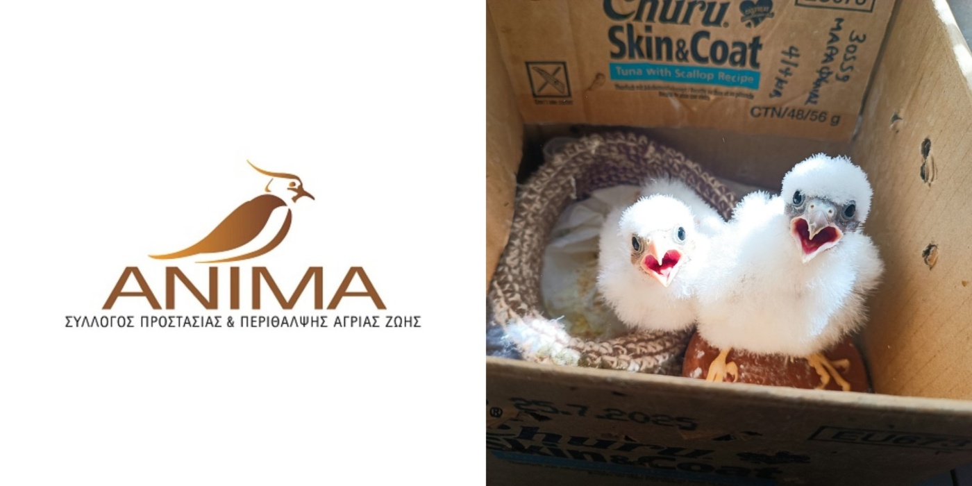 Έκκληση βοήθειας από την ΑΝΙΜΑ: Χρειάζονται εθελοντές στον Σταθμό και ...