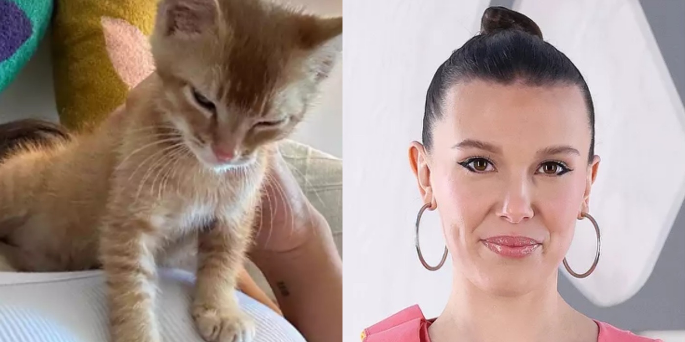 Η Millie Bobby Brown καλωσορίζει μια νέα αξιολάτρευτη τετράποδη προσθήκη στην οικογένειά της ...