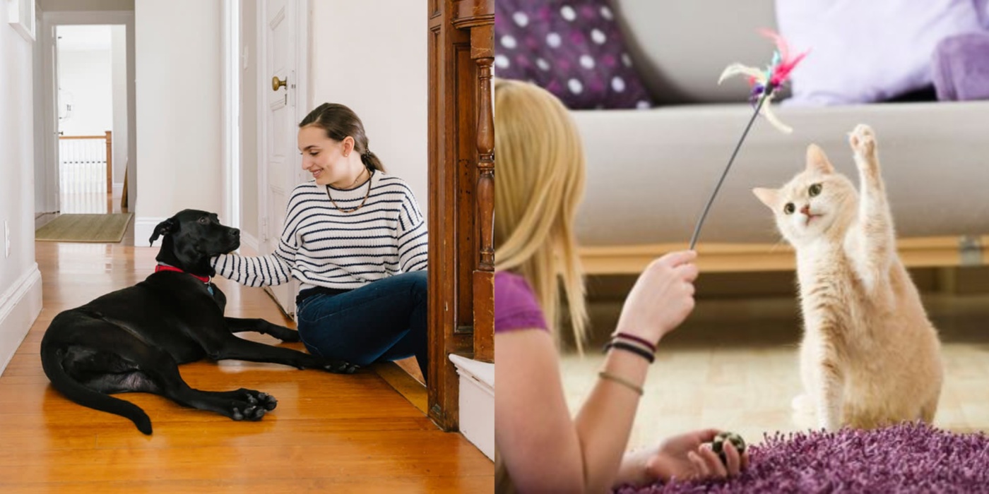 6 συμβουλές για τον καθορισμό των προσδοκιών και την αξιολόγηση του pet keeper σας - Petkeepers