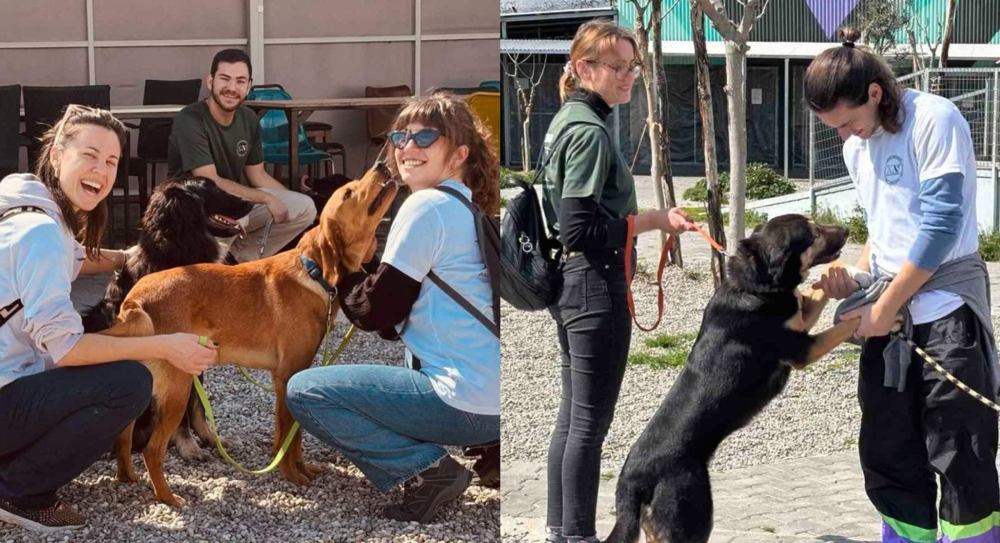 Η Φιλοσοφία στην Πράξη: Ένα Μάθημα Καρδιάς από τη Φιλοσοφική Ομάδα ‘Νέα Ακρόπολη’ στο Καταφύγιο ...