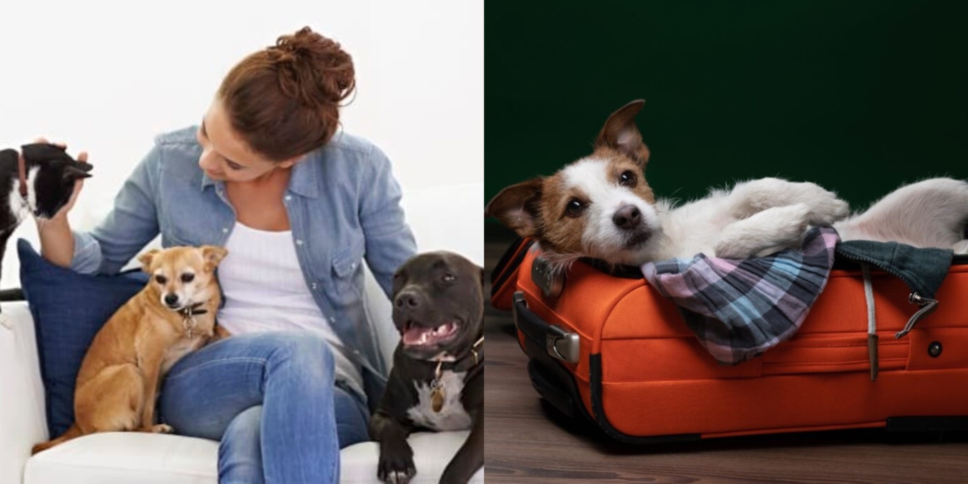 Pet keepers: Αυτά είναι τα οφέλη του να είσαι Pet Sitter- Χρήσιμος οδηγός - Petkeepers