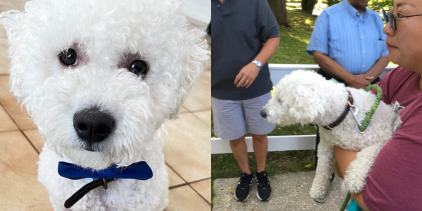 Ένας ήρωας: Σκυλάκι σώζει τη ζωή της οικογένειάς του κατά τη διάρκεια πλημμύρας στη μέση της ...