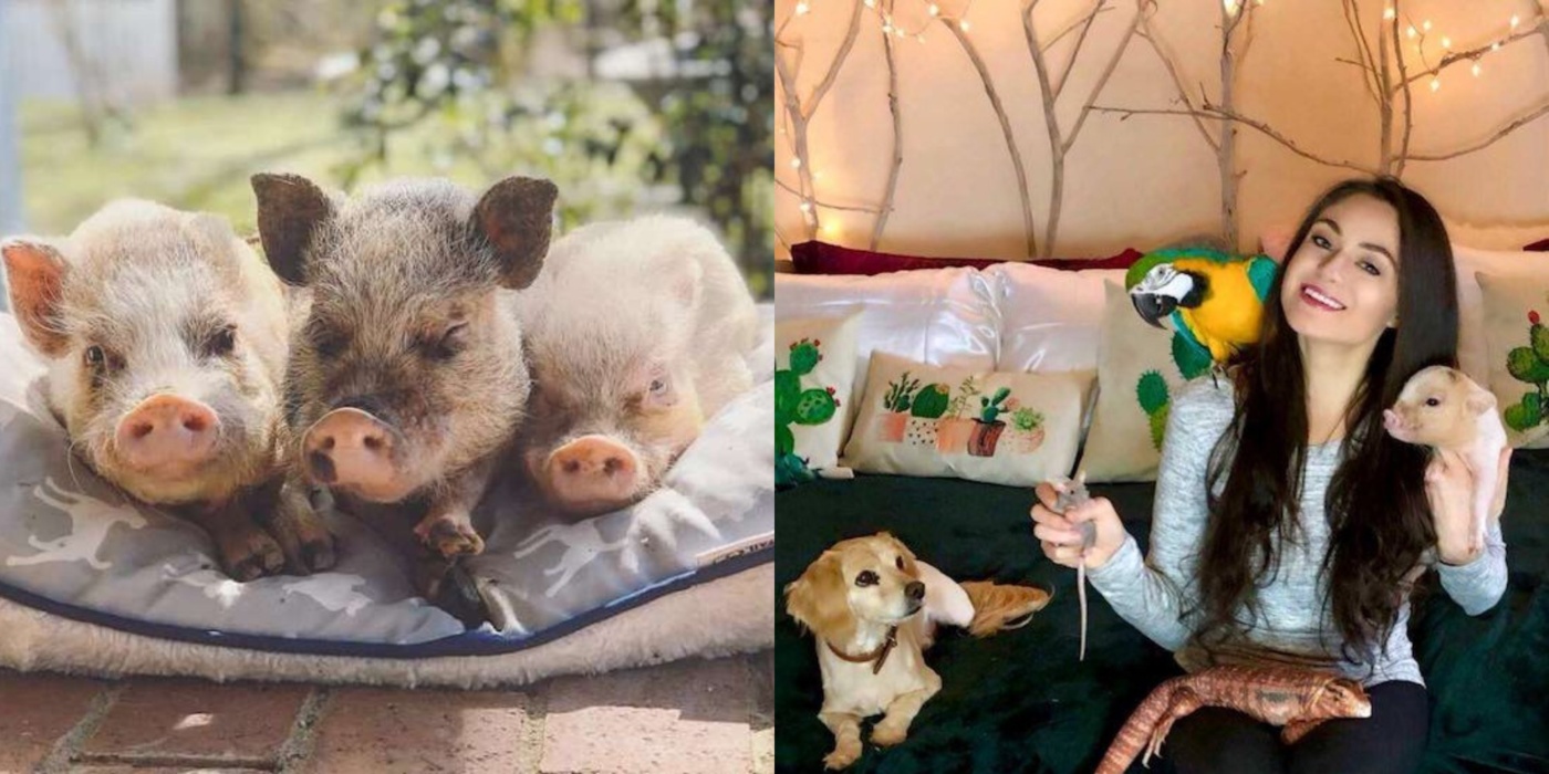 Μια πραγματική ηρωίδα: Γυναίκα φροντίζει εγκαταλελειμμένα ζώα που κανείς δεν θέλει, όποιο είδος ...