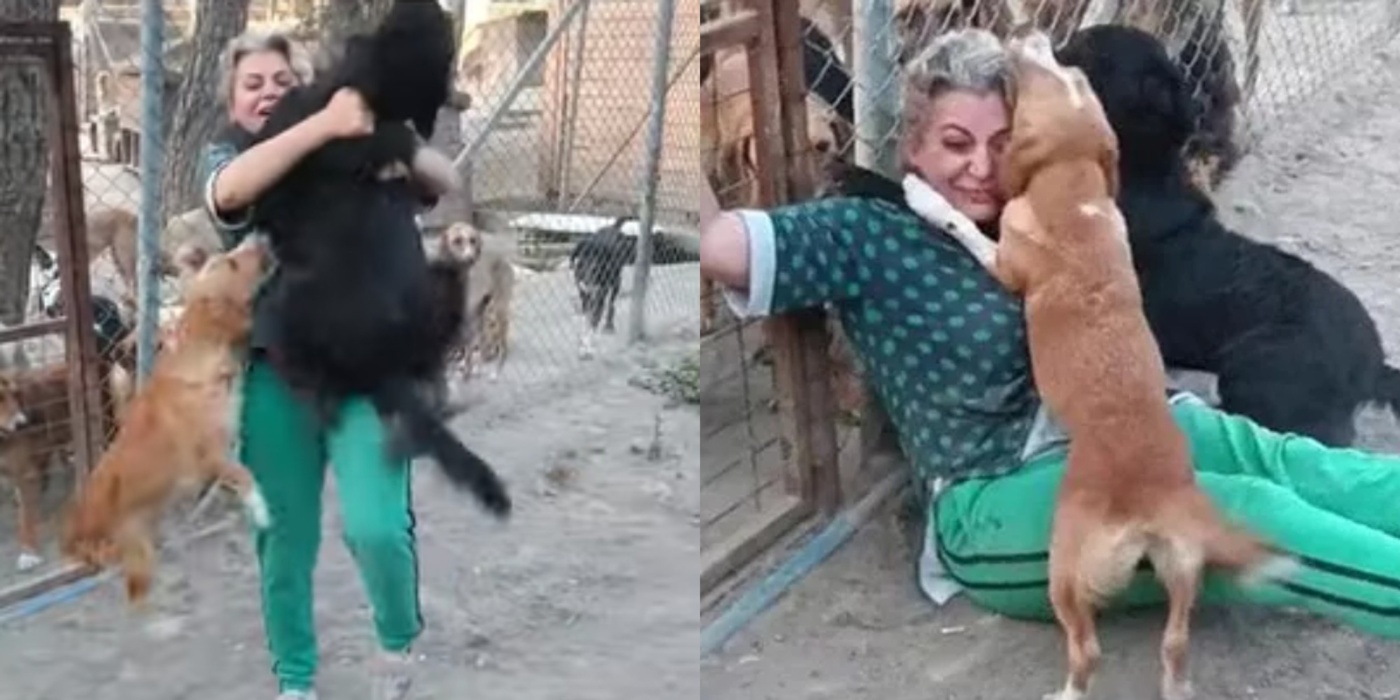 Η αληθινή αγάπη των Καταφυγίων: Η αγκαλιά των σκύλων σε μια Τουρκία που τα διώχνει - Petkeepers