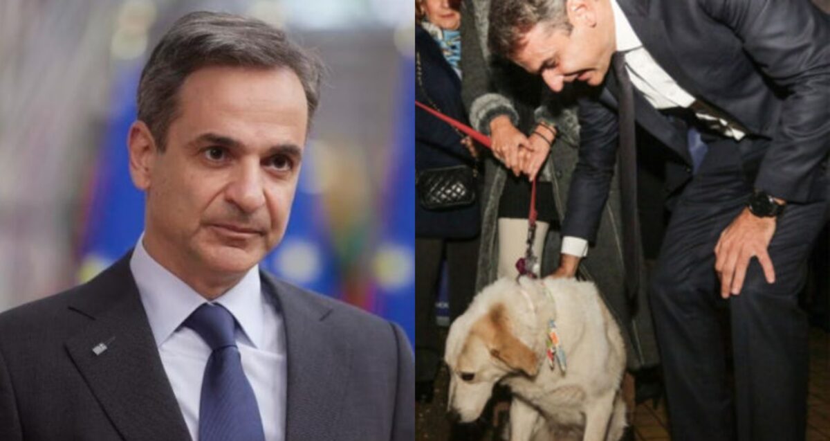 Καλά πήγε αυτό: Ο Μητσοτάκης έσκυψε να χαϊδέψει σκύλο και το ζώο γύρισε ...
