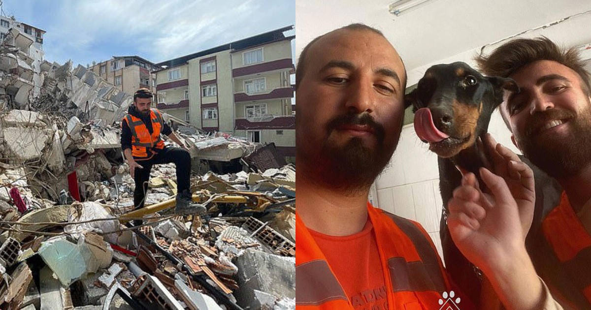 Ένα μήνα μετά: Εθελοντές σώζουν σκυλίτσα και τα κουτάβια της κάτω από ...