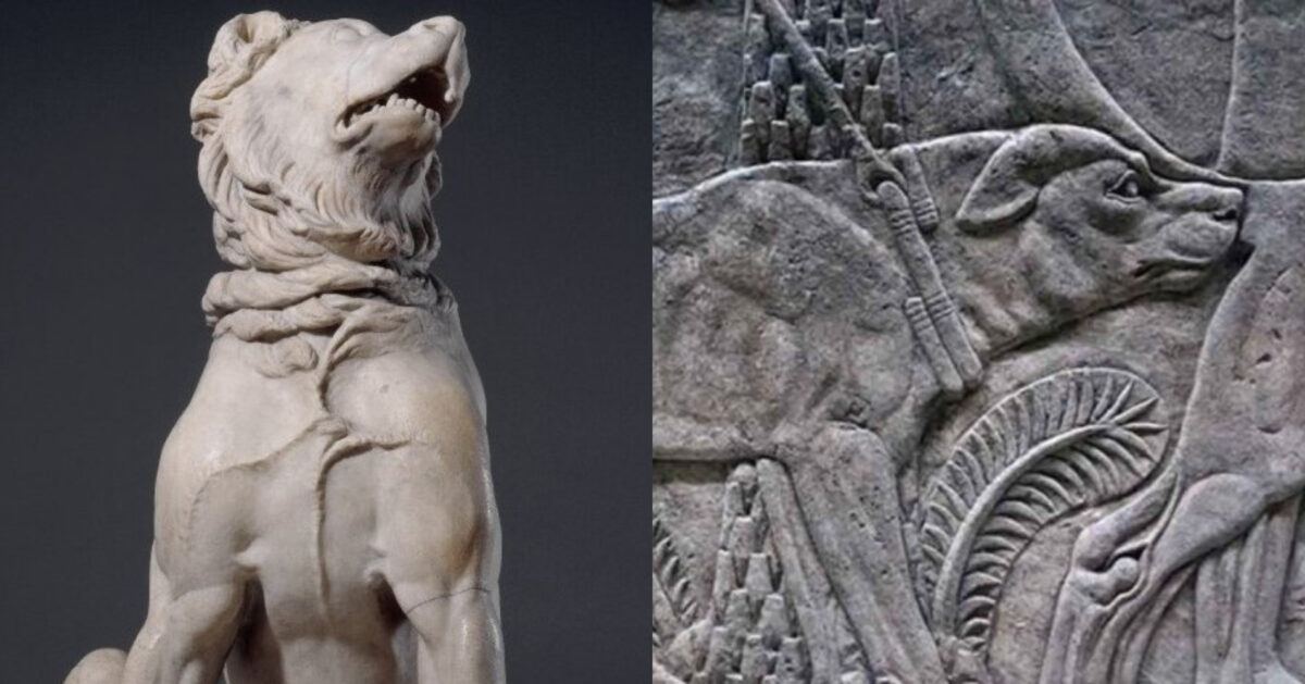 Περίτας: Ο αγαπημένος σκύλος του Μεγάλου Αλέξανδρου - Μύθοι και ...