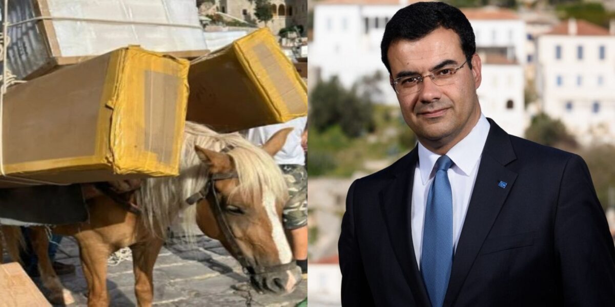 Επιμένει ο δήμαρχος Υδρας για τα γαϊδουράκια: Γίνεται 200 χρόνια στο ...
