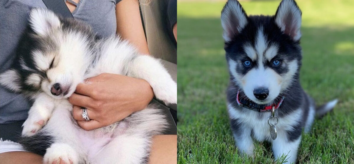 Αυτό είναι πολύ χαριτωμένο: Ζευγάρι καταγράφει τι συμβαίνει όταν ...