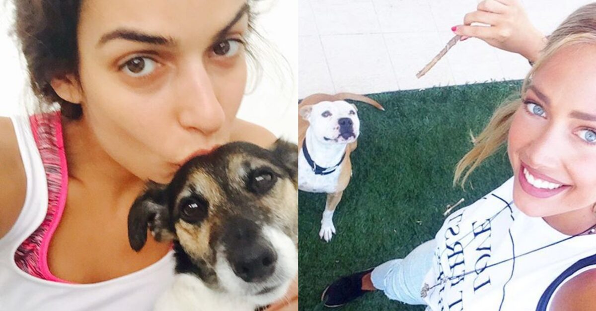 Γιορτάζουν την Παγκόσμια ημέρα ζώων: Διάσημοι Έλληνες δείχνουν την αγάπη τους για τα ζώα και ...