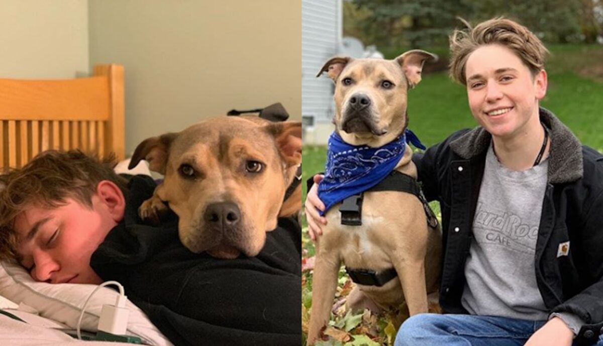 Ήταν κλειδωμένος από μικρός και φοβόταν τα πάντα μέχρι που υιοθετήθηκε και έγινε αχώριστος με ...