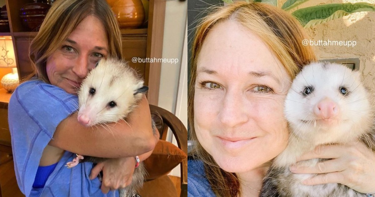 Γλυκύτατο οπόσουμ λατρεύει να το αγκαλιάζει συνέχεια η μαμά του - Petkeepers