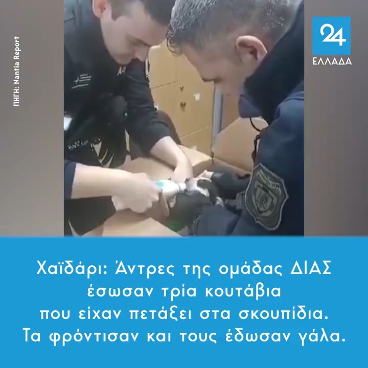 Συγχαρητήρια στα παλικάρια μας: Άντρες της ομάδας ΔΙΑΣ στο Χαϊδάρι ...