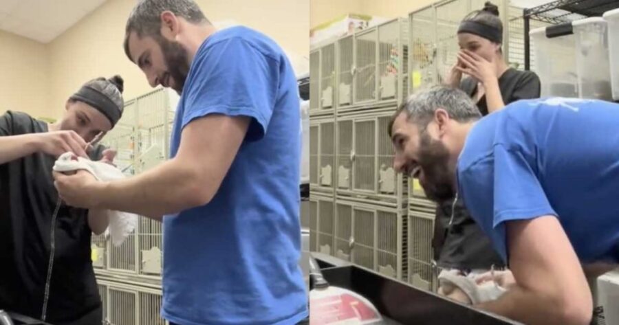 Παπαγάλος κάνει τον κτηνίατρο να κλαίει από τα γέλια κατά τη διάρκεια ...