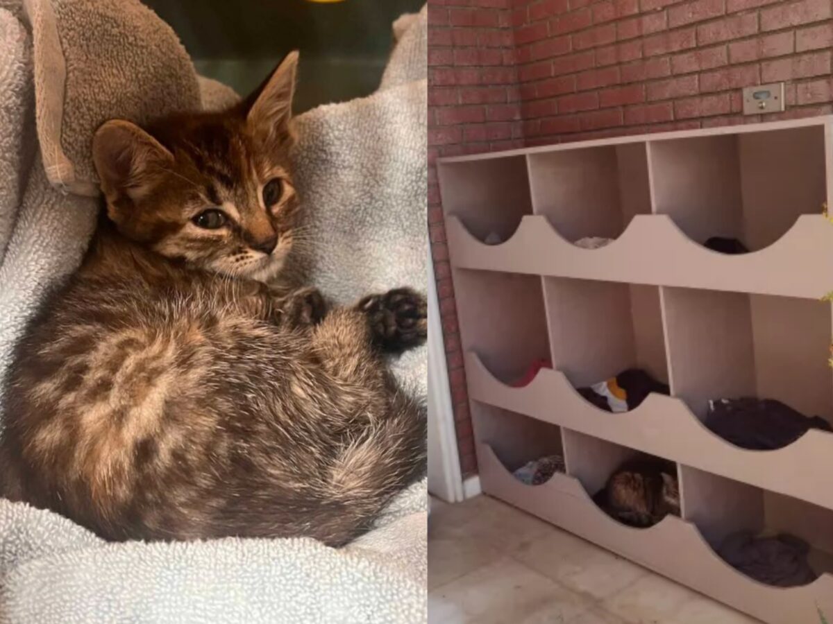 Σημαντική πρωτοβουλία: Ο δήμαρχος Δυτικής Λέσβου έφτιαξε “πολυκατοικία ...