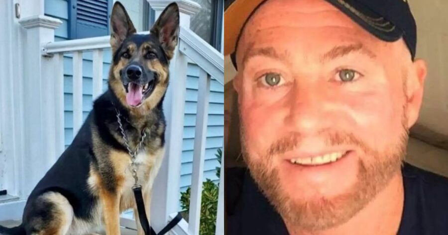 Η ζωή κάνει κύκλους: Σκύλος καταφυγίου σώζει τη ζωή του ανθρώπου που ...