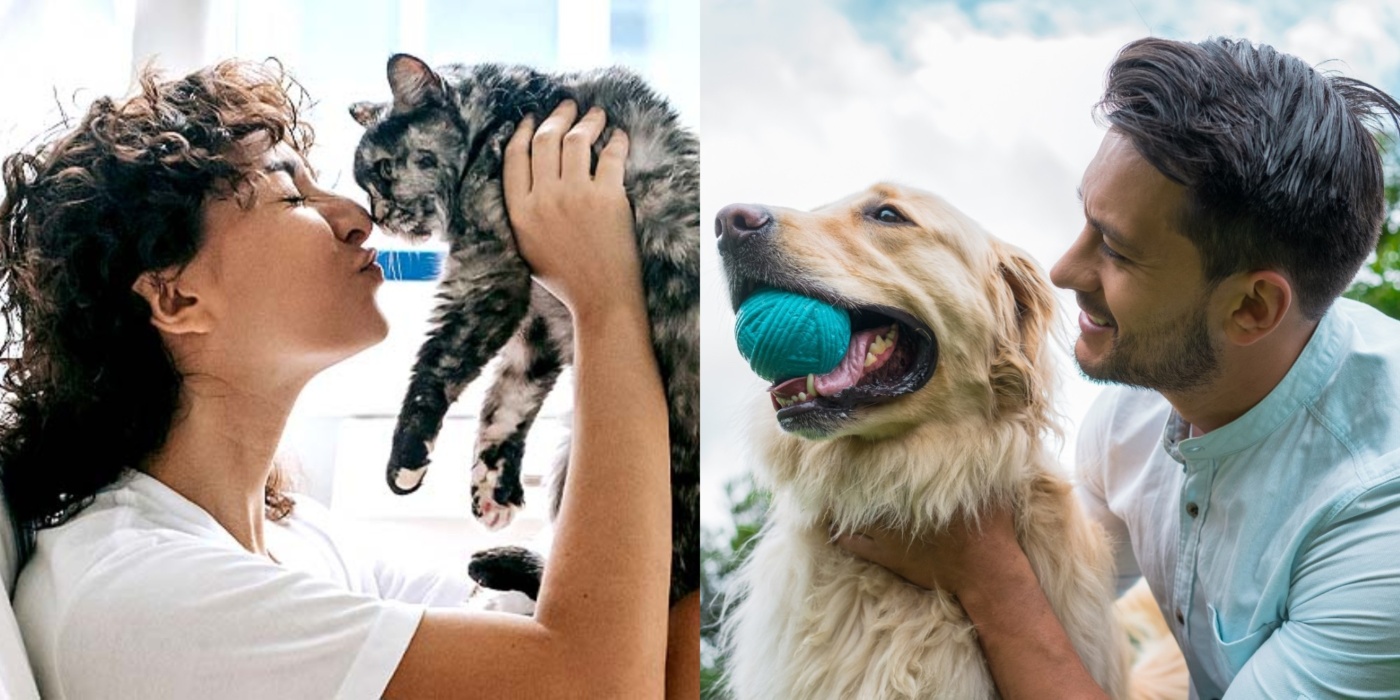 10 συμβουλές για το πώς να γίνετε Pet Sitter - Όλα όσα πρέπει να ξέρετε - Petkeepers