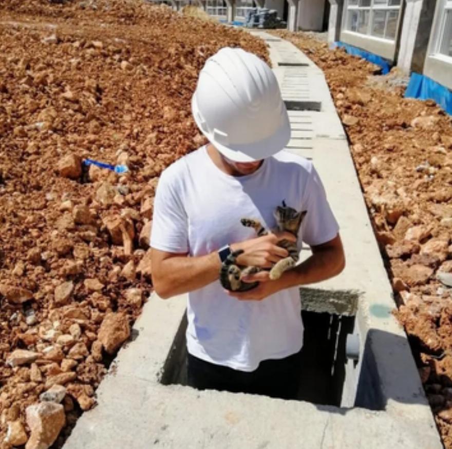 Τον διάλεξε: Ένα αδέσποτο γατάκι περιπλανήθηκε σε ένα εργοτάξιο και ...
